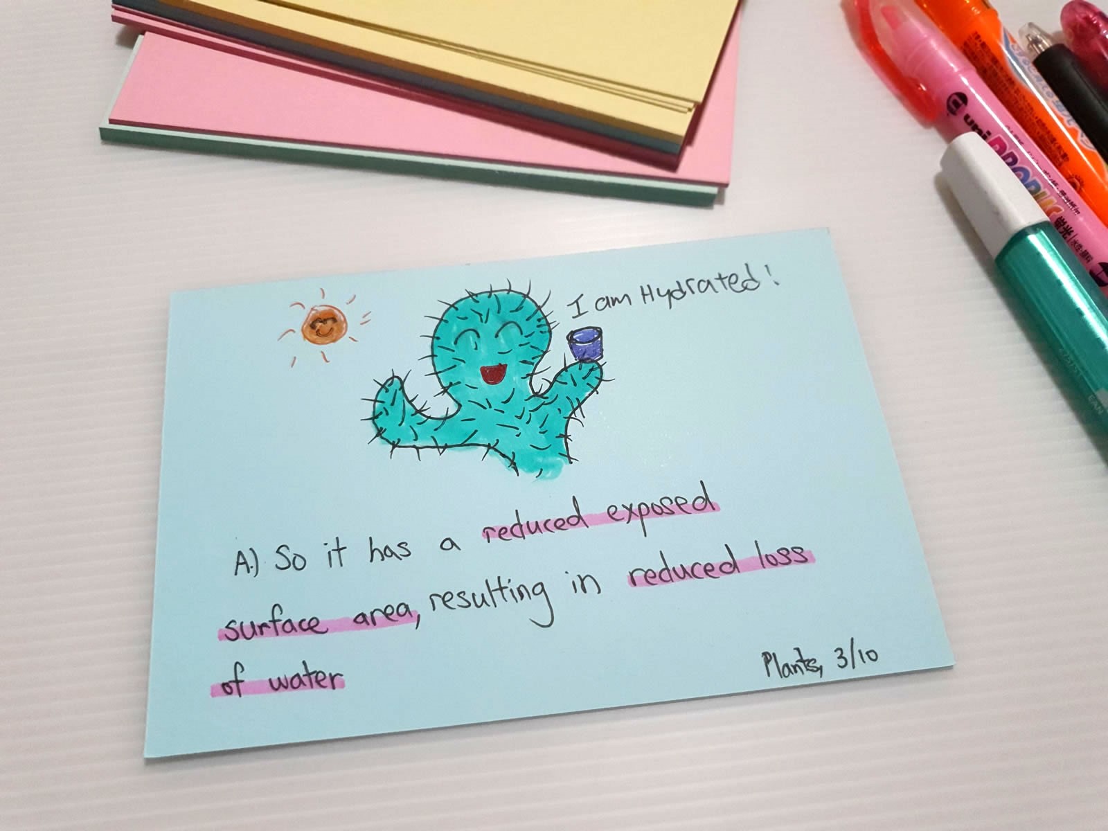 How to Make Your Own Flashcards - Skoolopedia