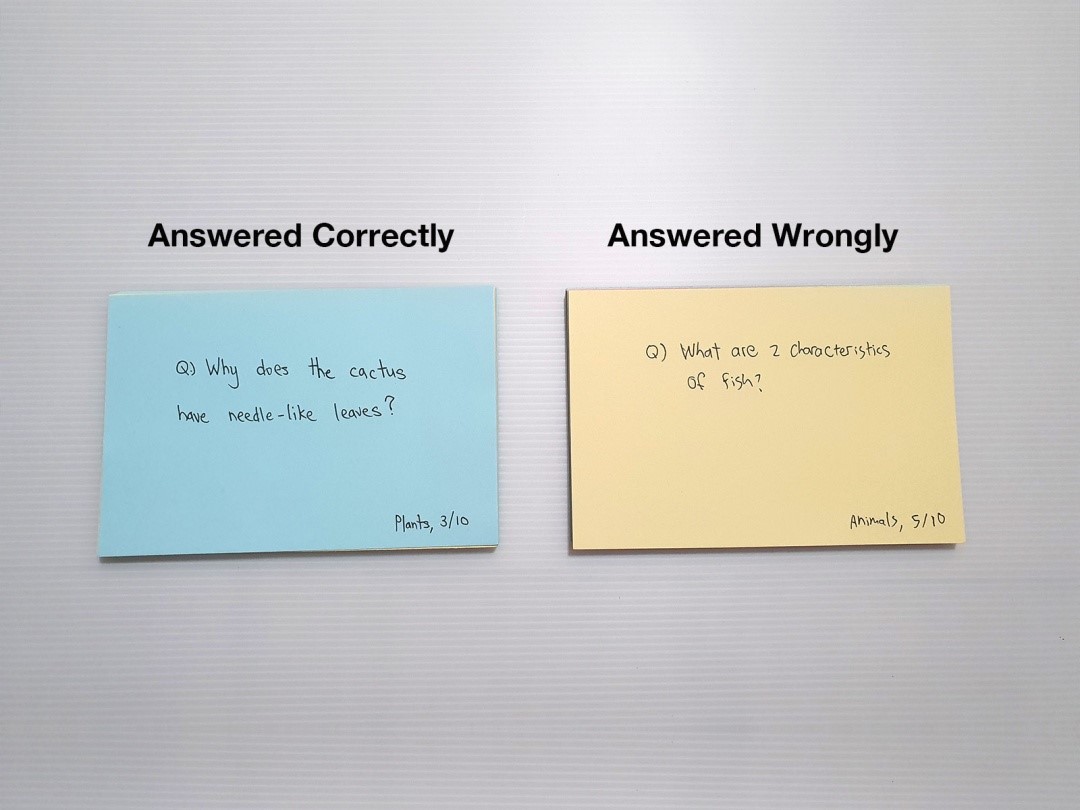 How to Make Your Own Flashcards - Skoolopedia